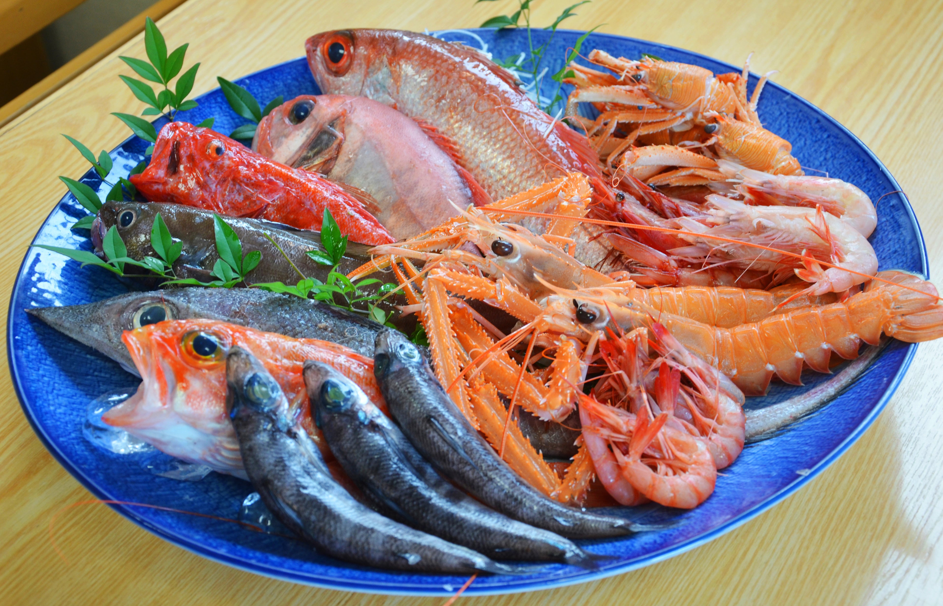 iwafu - Heda Deep-Sea Fish Festival｜Tokai Shizuoka｜Japan's Limited-Time ...