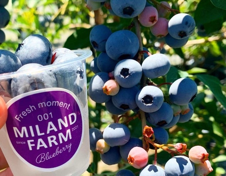 MILAND FARM / 岐阜県 -【JAPAN 47 GO】