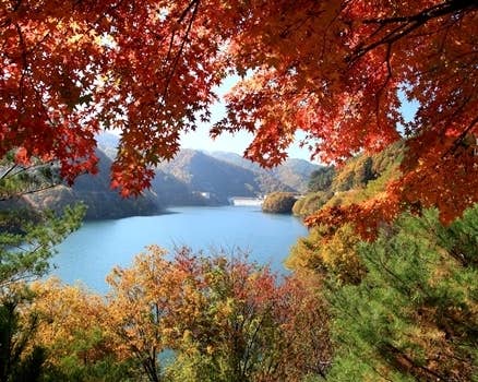 Lake Momiji (Minowa Dam) / Nagano Prefecture -【JAPAN 47 GO】
