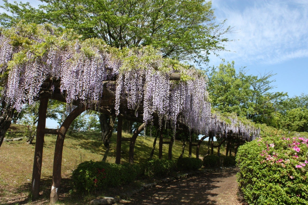 Matto Green Park / Ishikawa Prefecture -【JAPAN 47 GO】